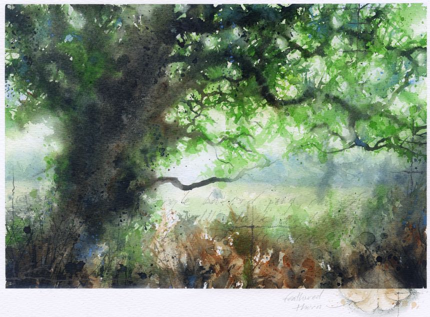 Latest work | Cook the Painter