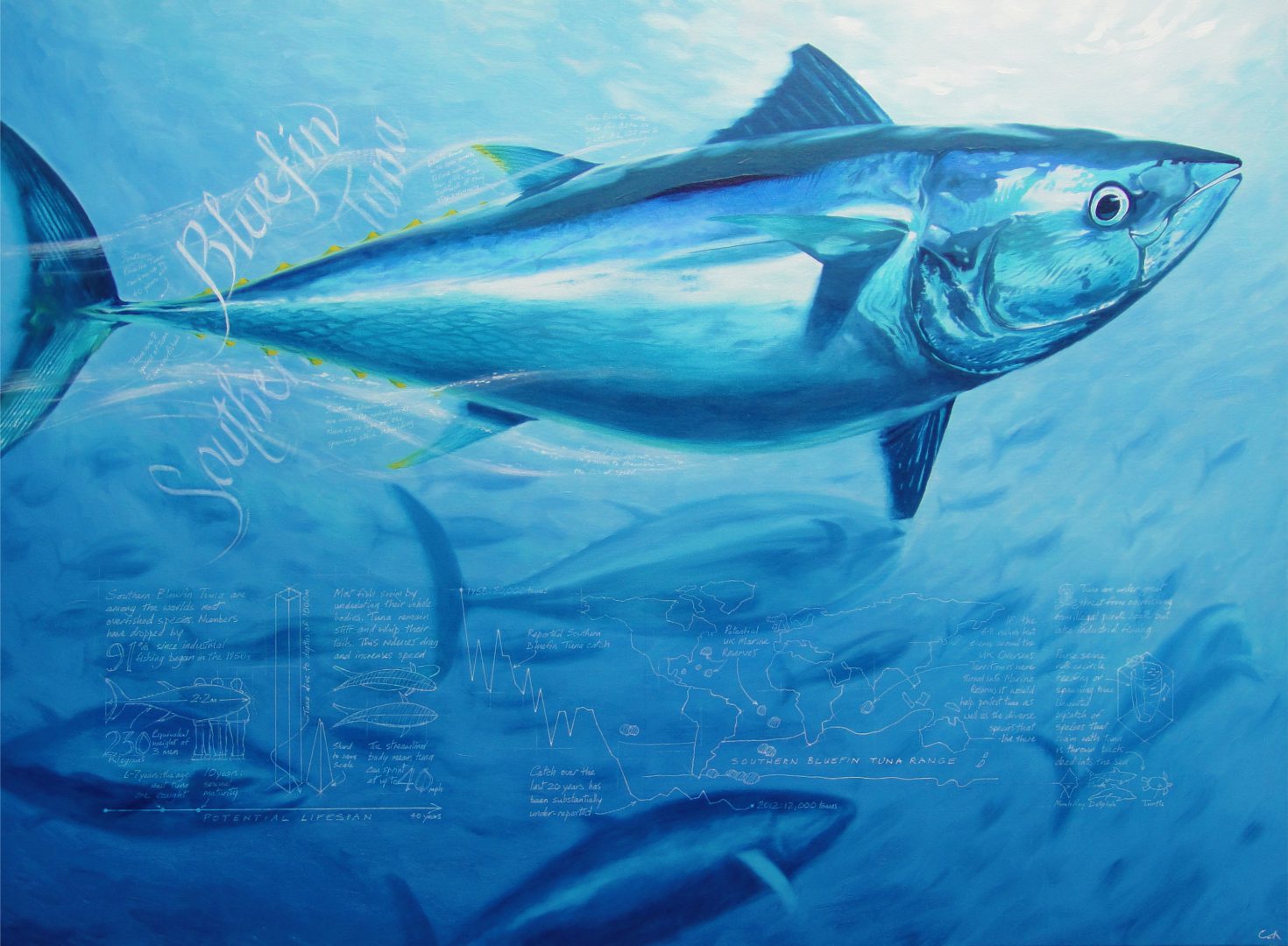 Archive | Cook the Painter