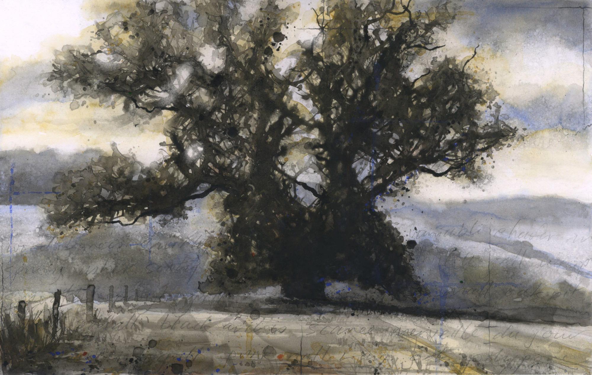 Latest work | Cook the Painter